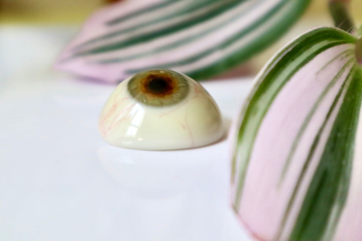 A Brief History Of Antique Eye Prosthesis - The Weird World Of Antique ...